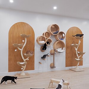 Meow Parlour by Sonya Lee Architect - RTF | Rethinking The Future