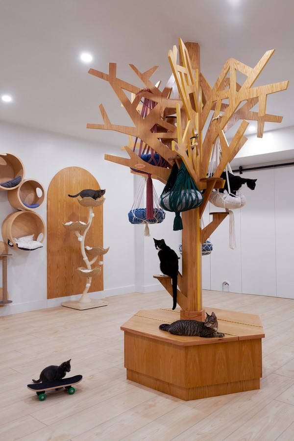Meow Parlour by Sonya Lee Architect - RTF | Rethinking The Future