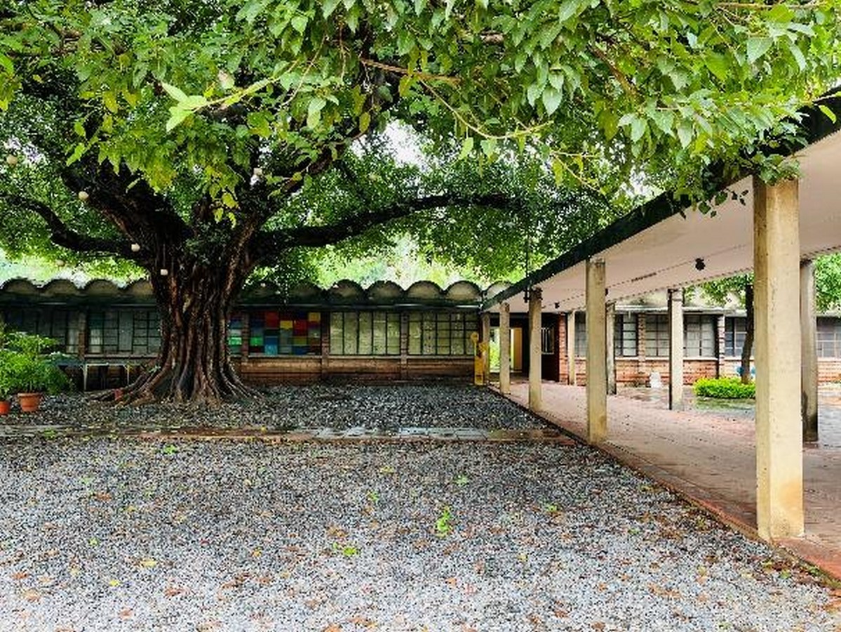 Aligarh Muslim University, Aligarh - RTF | Rethinking The Future