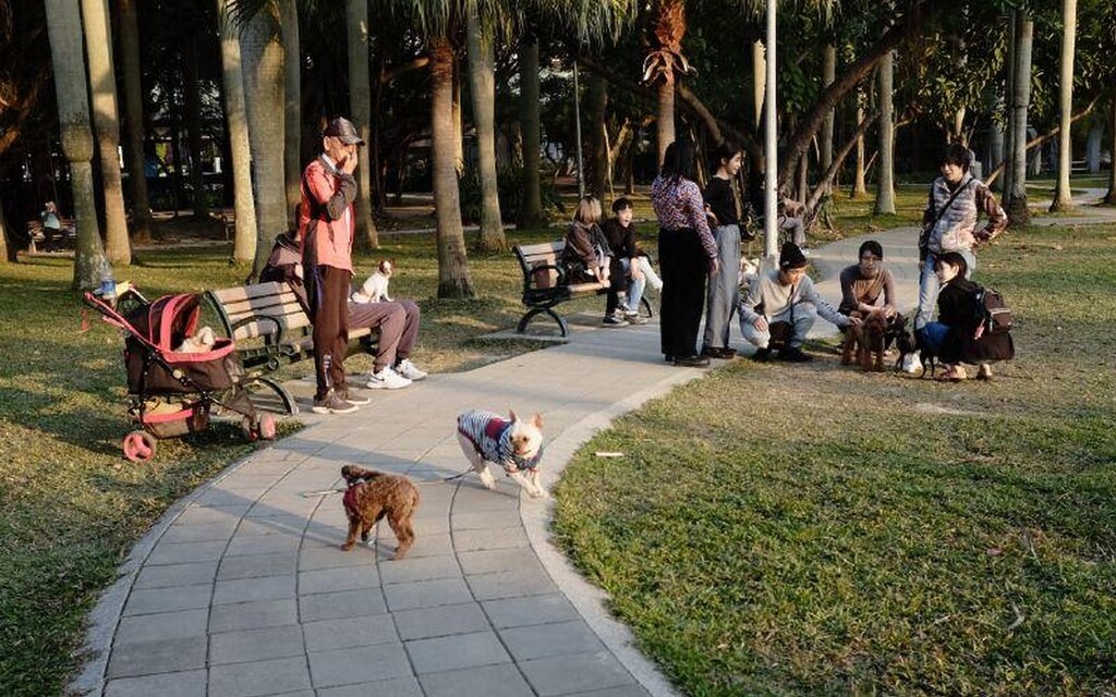 Pet-Friendly Public Spaces: A Pet Owner's Dream for Urban Life - RTF ...