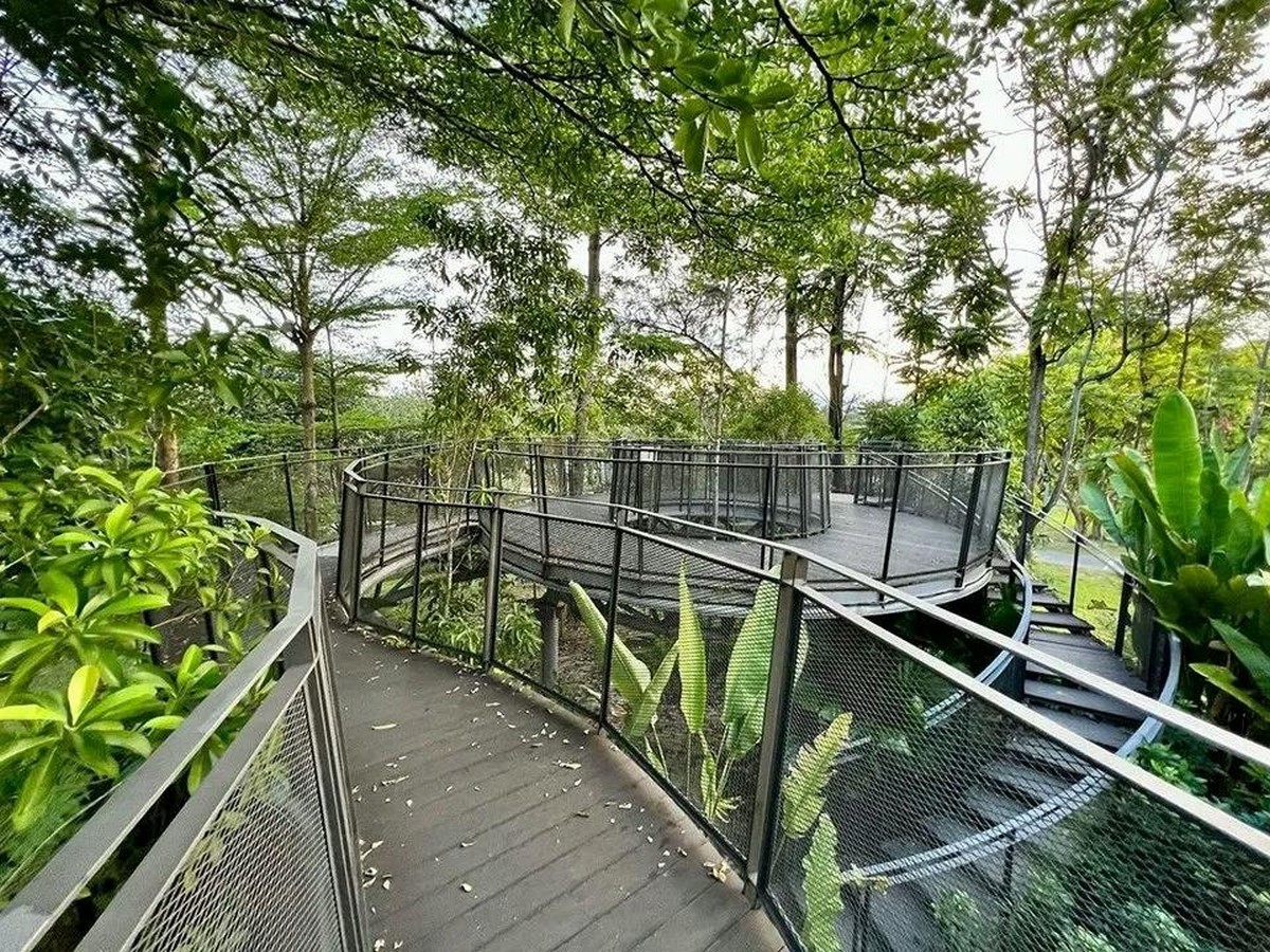 The Essential Role of Outdoor Play Spaces in a Child's World - RTF ...