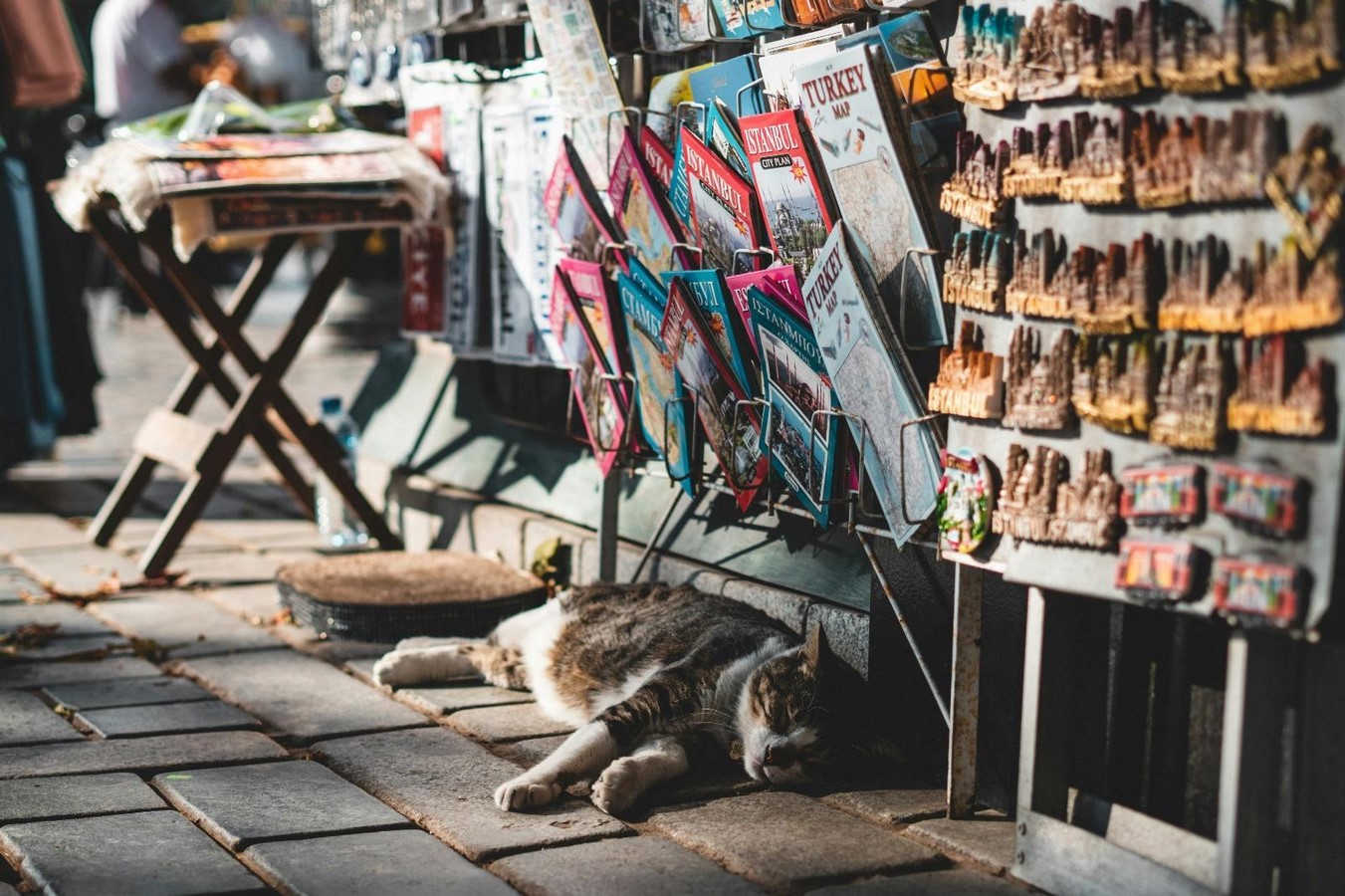 How to experience Travel, art and culture - RTF | Rethinking The Future
