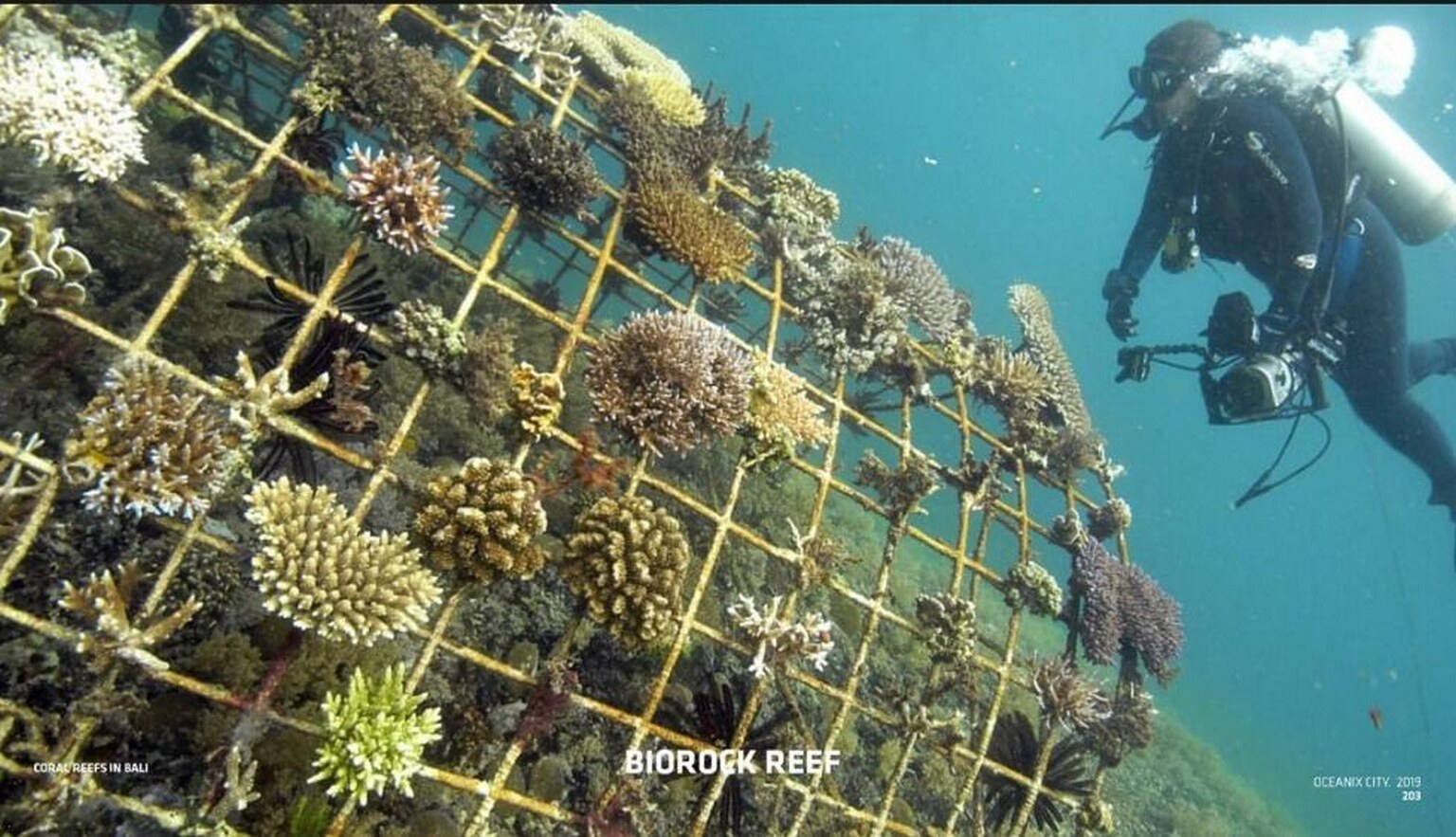 Floating Cities and Biodiversity - RTF | Rethinking The Future