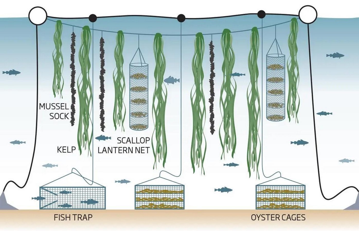 Floating Cities and Biodiversity - RTF | Rethinking The Future
