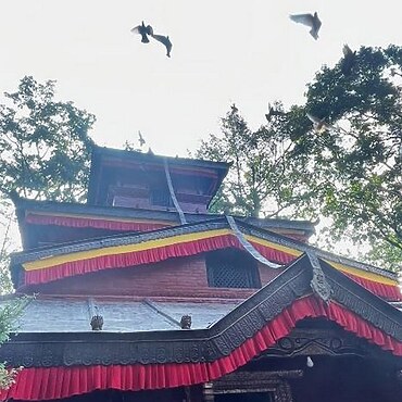 Kalika Bhagwati Temple, Nepal - RTF | Rethinking The Future