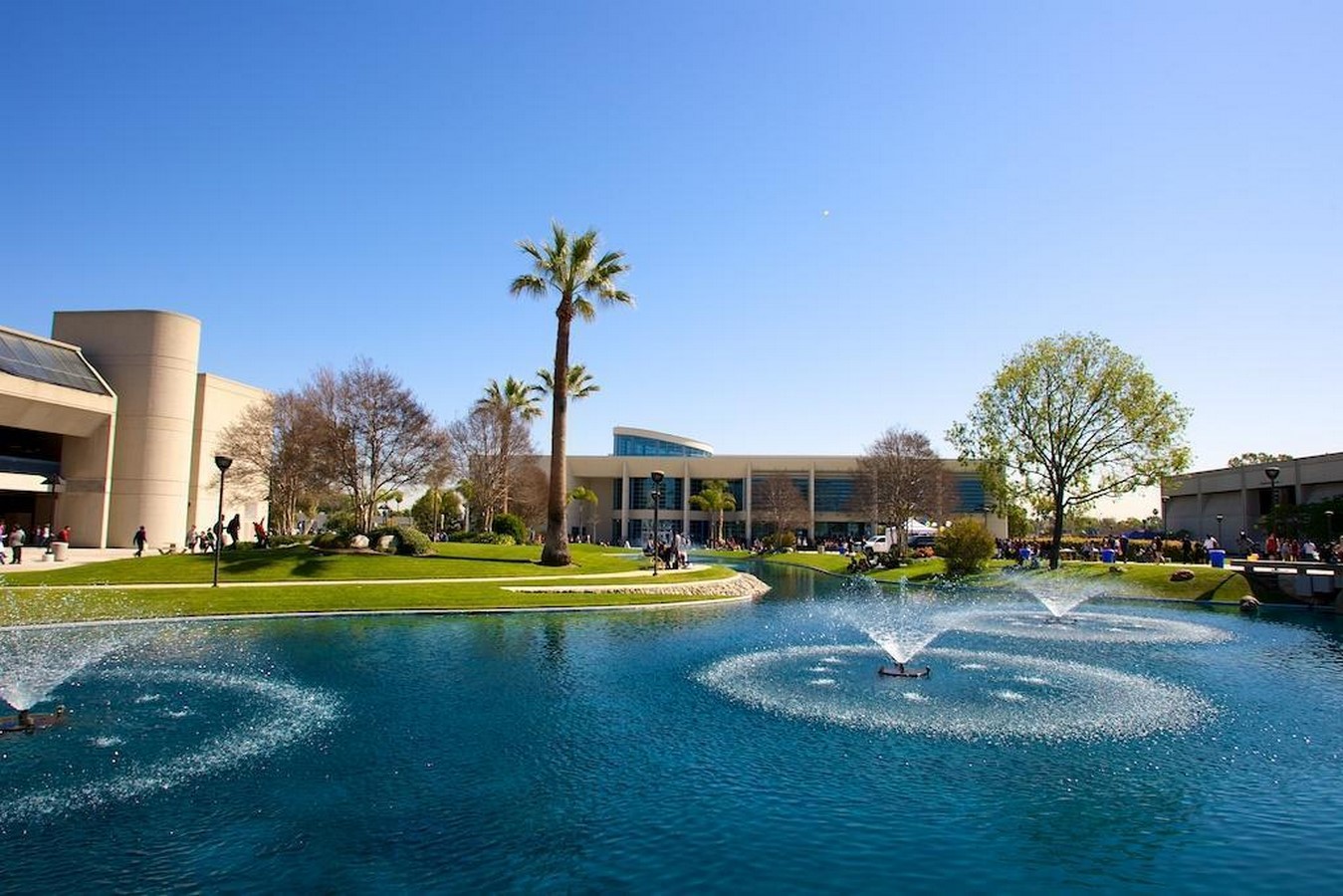 The Role of Open Spaces in Campus Planning: Enhancing Experience and ...