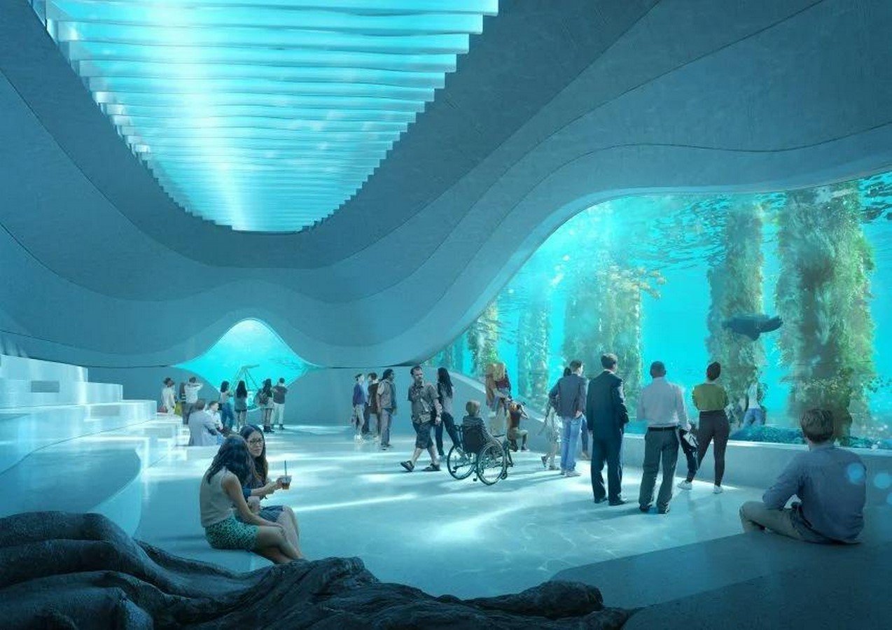 Designing for Depth: Underwater Conservation and Tourism - RTF ...