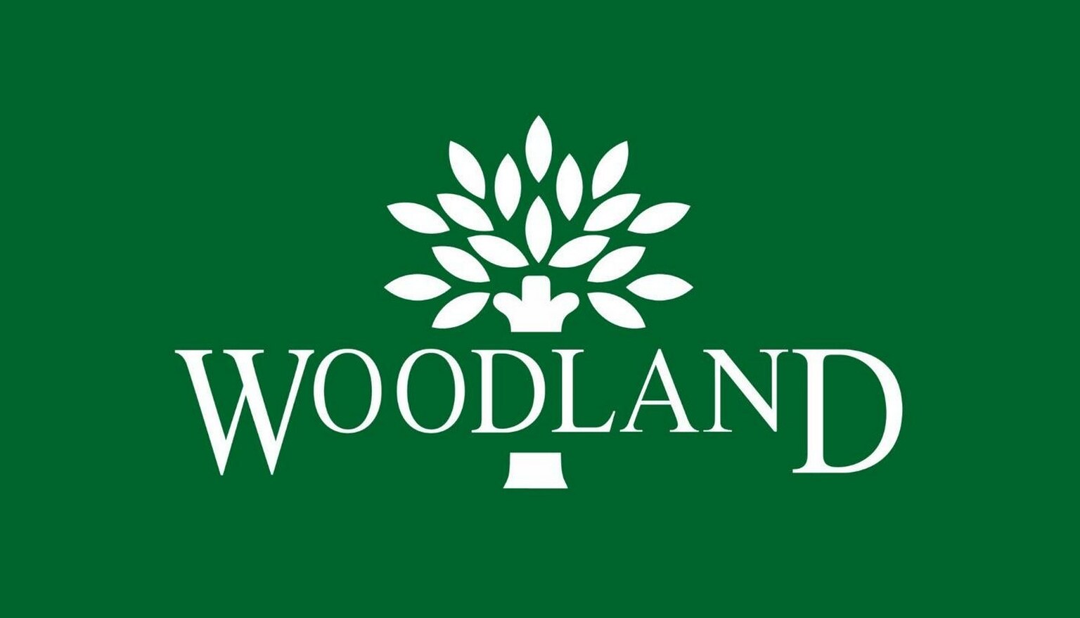 Building Brands: Woodland - RTF | Rethinking The Future