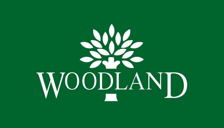 Building Brands: Woodland - RTF | Rethinking The Future