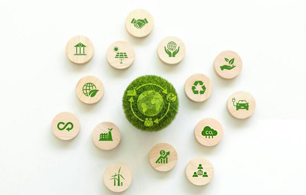 The role of environmental impact assessments in sustainable ...