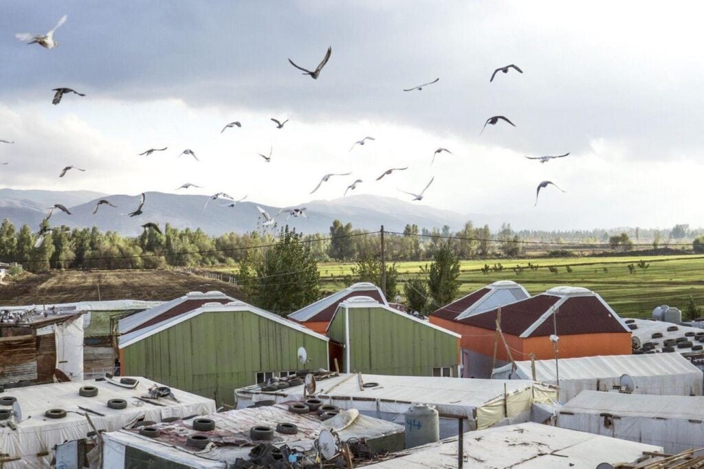 Architecture for Refugee Integration - RTF | Rethinking The Future