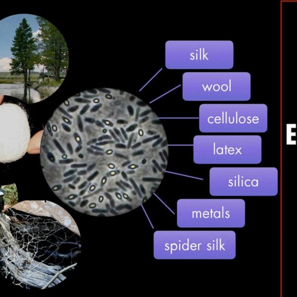 Alternative Materials: Biomaterials in Space use - RTF | Rethinking The ...