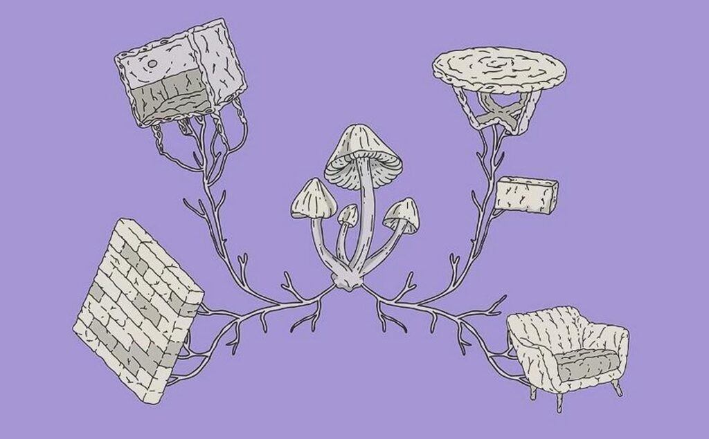 Alternative Materials: Biomaterials in Space use - RTF | Rethinking The ...