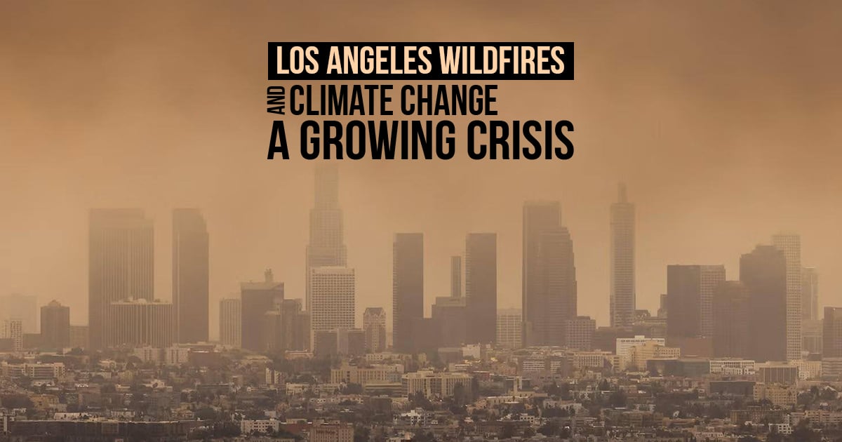 Los Angeles Wildfires and Climate Change: A Growing Crisis - RTF ...