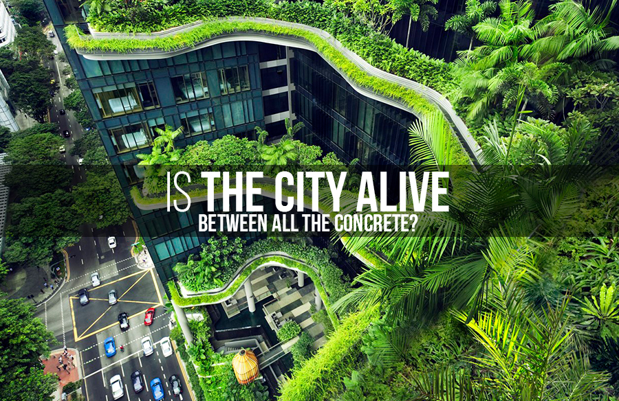 Is the city alive in between all the concrete? - RTF | Rethinking The ...