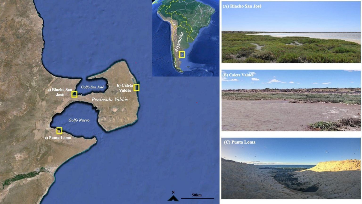 UNESCO World Heritage Sites: Península Valdés - RTF | Rethinking The Future