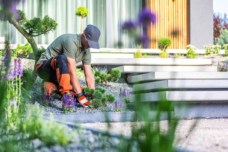 Stay Safe While Landscaping: Essential Safety Tips for Working Around ...