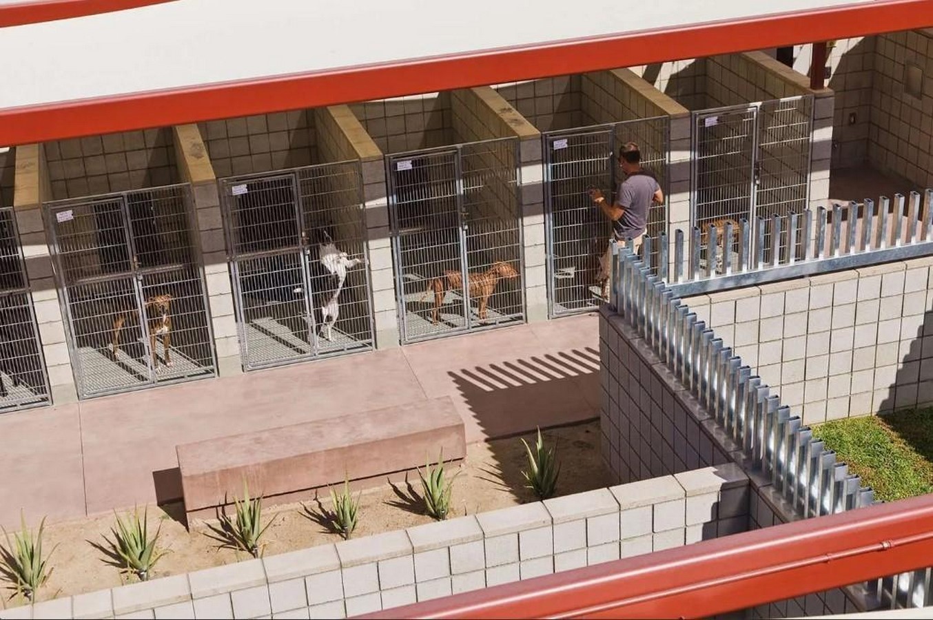 Sustainable Humane Design for Animals - RTF | Rethinking The Future