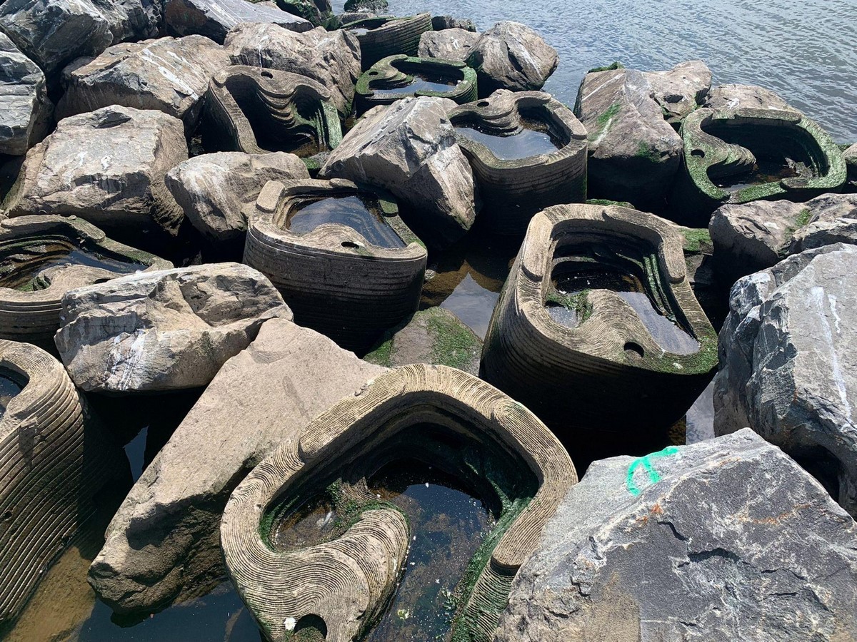 Living Breakwaters, Staten Island - RTF | Rethinking The Future