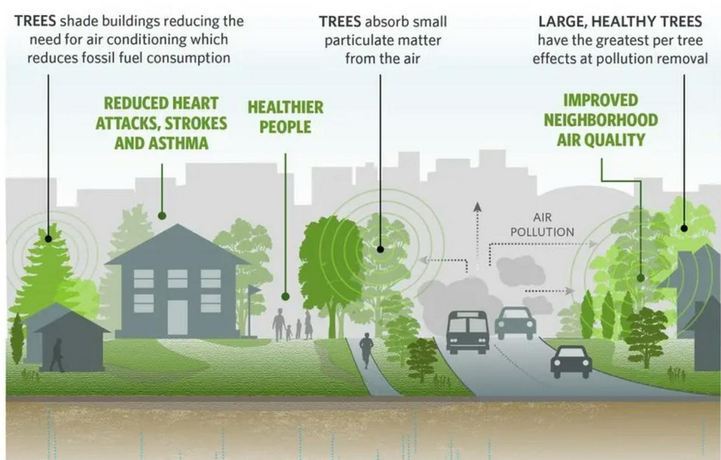 Urban Green Spaces as Climate Buffers - RTF | Rethinking The Future