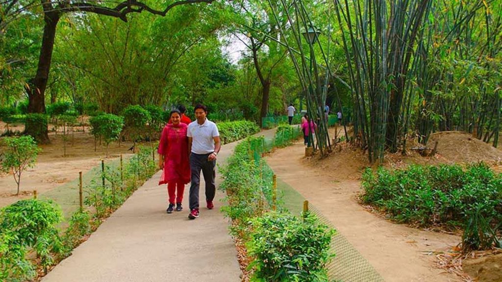 The Role of Open Spaces in Fostering Community Interaction - RTF ...