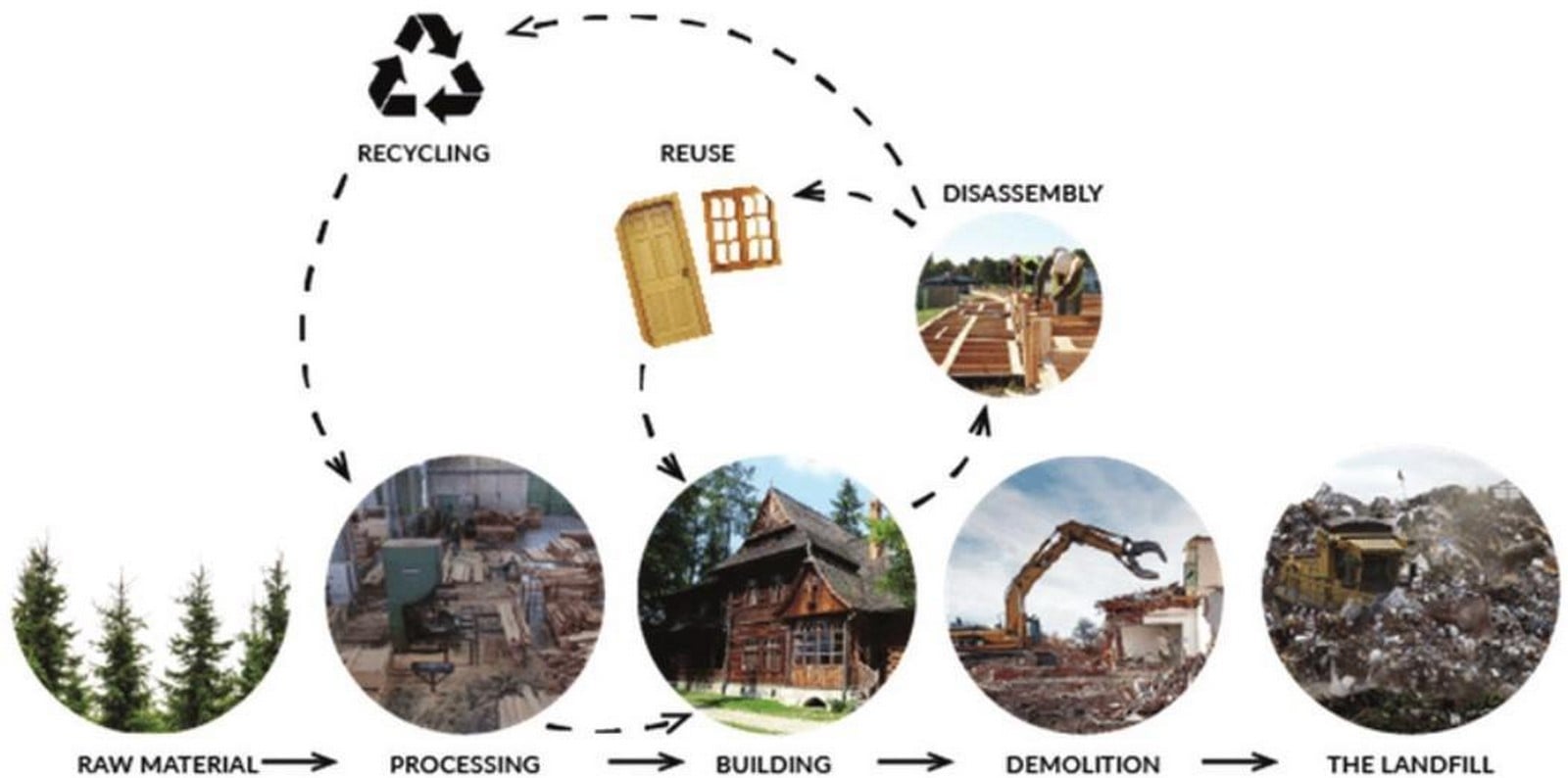 The Circular City: Integrating Circular Economy into Architectural ...