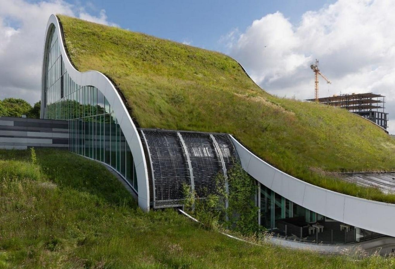 Multispecies Urbanism: Expanding Architecture Beyond Human-Centric ...