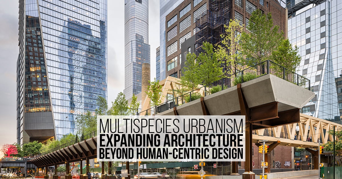 Multispecies Urbanism: Expanding Architecture Beyond Human-Centric ...