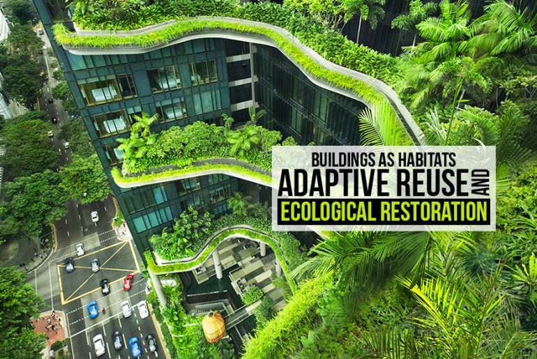 Adaptive Reuse and Ecological Restoration: Buildings as Habitats - RTF ...