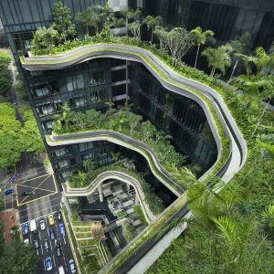 Adaptive Reuse and Ecological Restoration: Buildings as Habitats - RTF ...