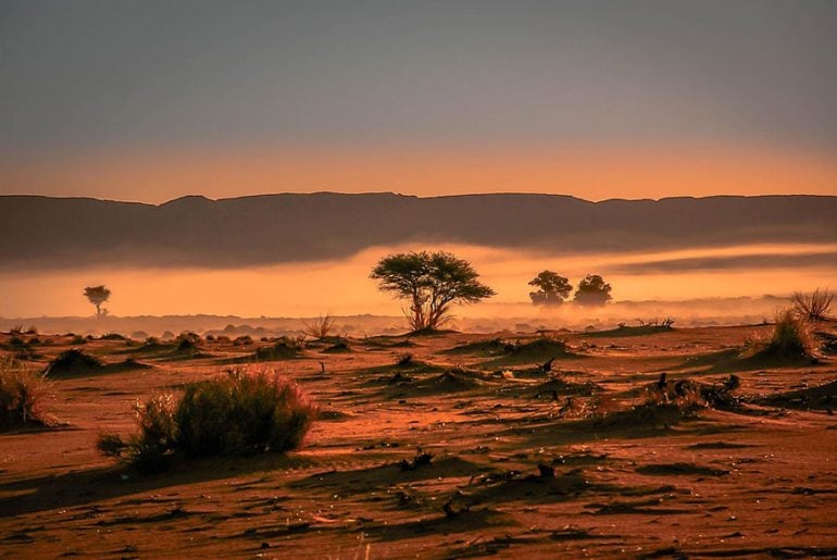 Biomimicry in Architecture: Drawing Colors and Patterns from African ...