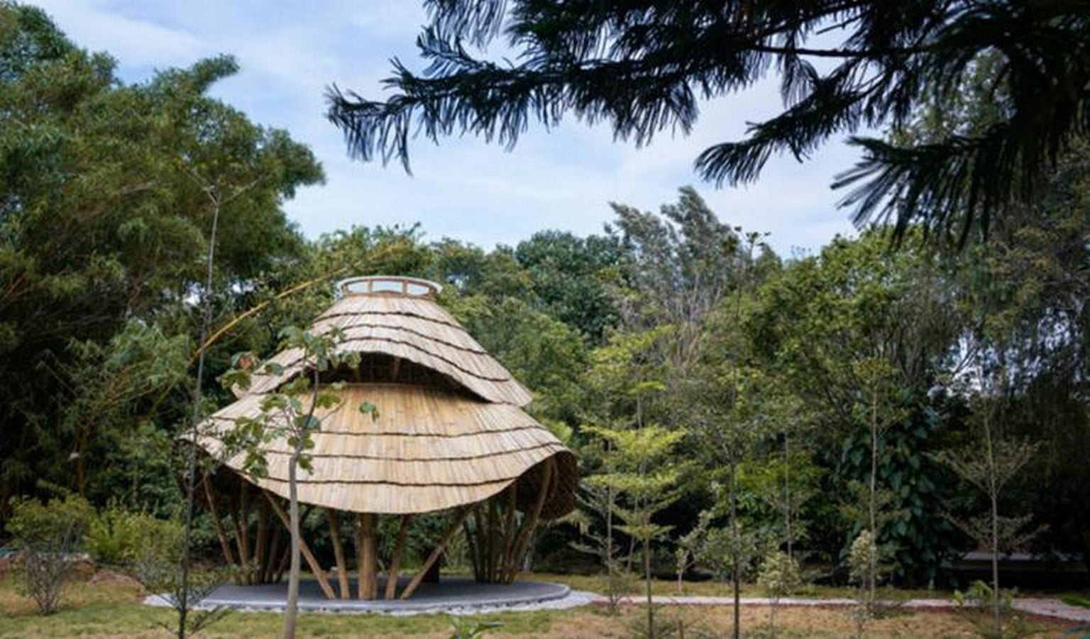 Healing Architecture: Echoing Waves of Serenity Within the Walls - RTF ...