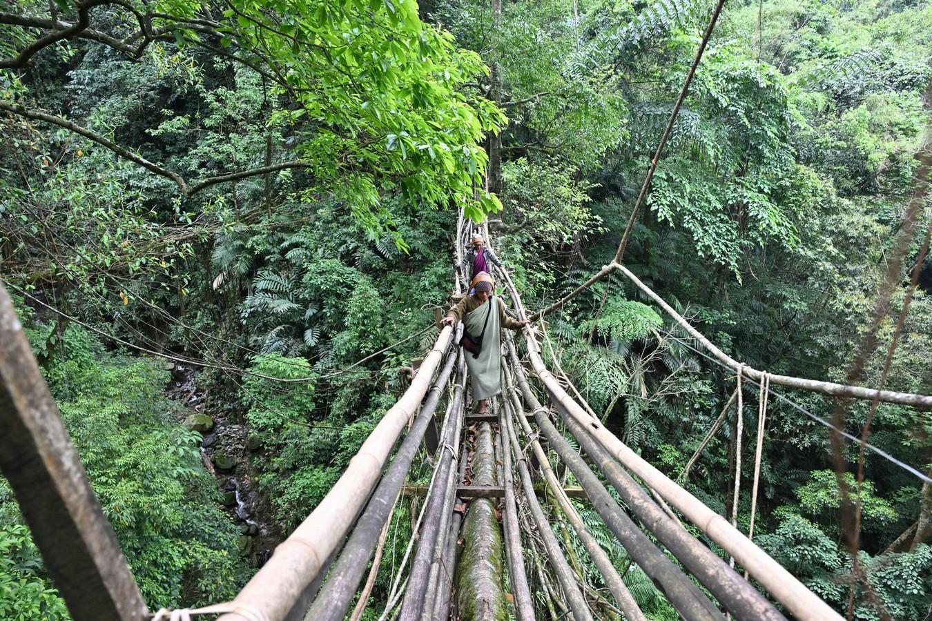 What if Trees Were Architects? Designing with Nature’s Logic - RTF ...