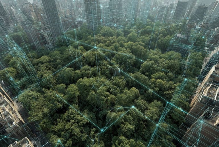 When Silicon Meets Chlorophyll: Technology's Revolution in Urban Tree ...