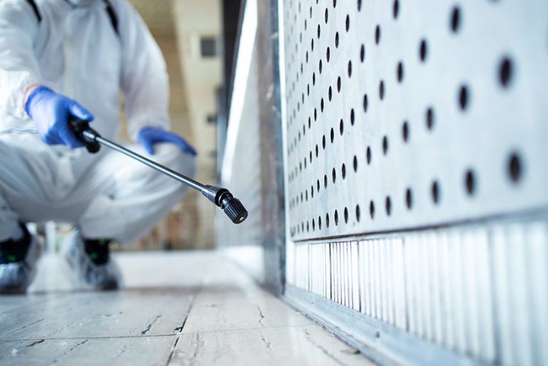 How to Pest Proof the Building Envelope - RTF | Rethinking The Future