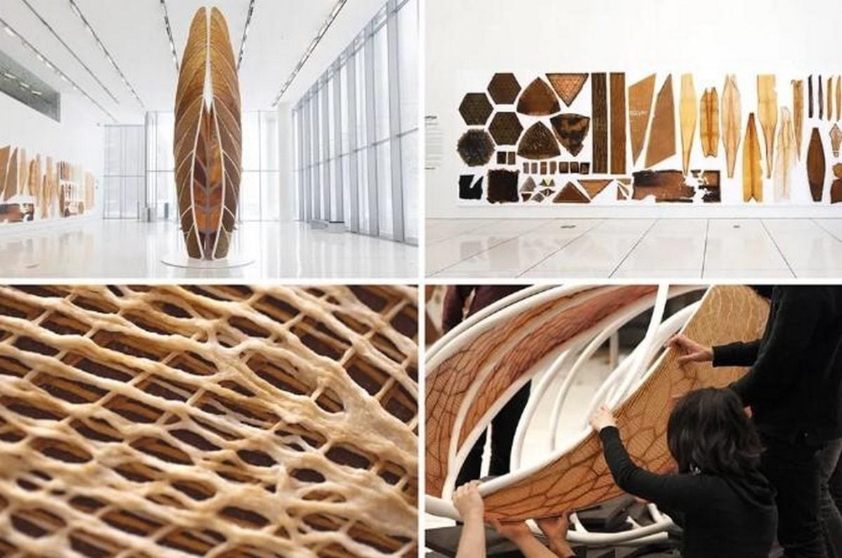 Speculative Architecture: Imagining Futures Beyond Function - RTF ...