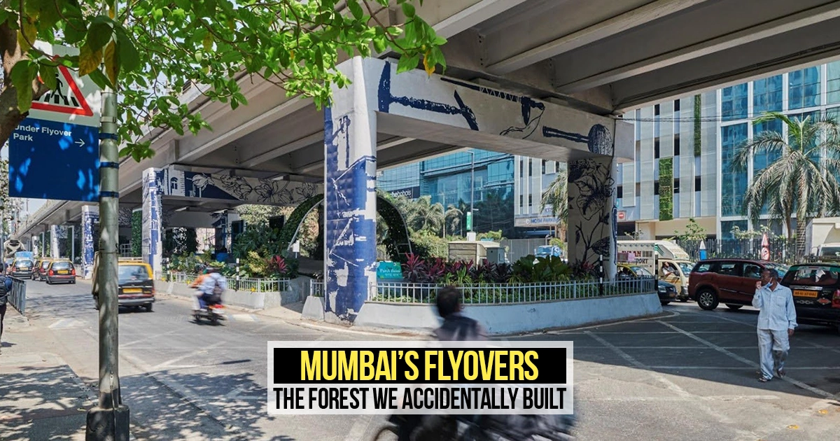 Mumbai’s Flyovers: The Forest We Accidentally Built - RTF | Rethinking ...
