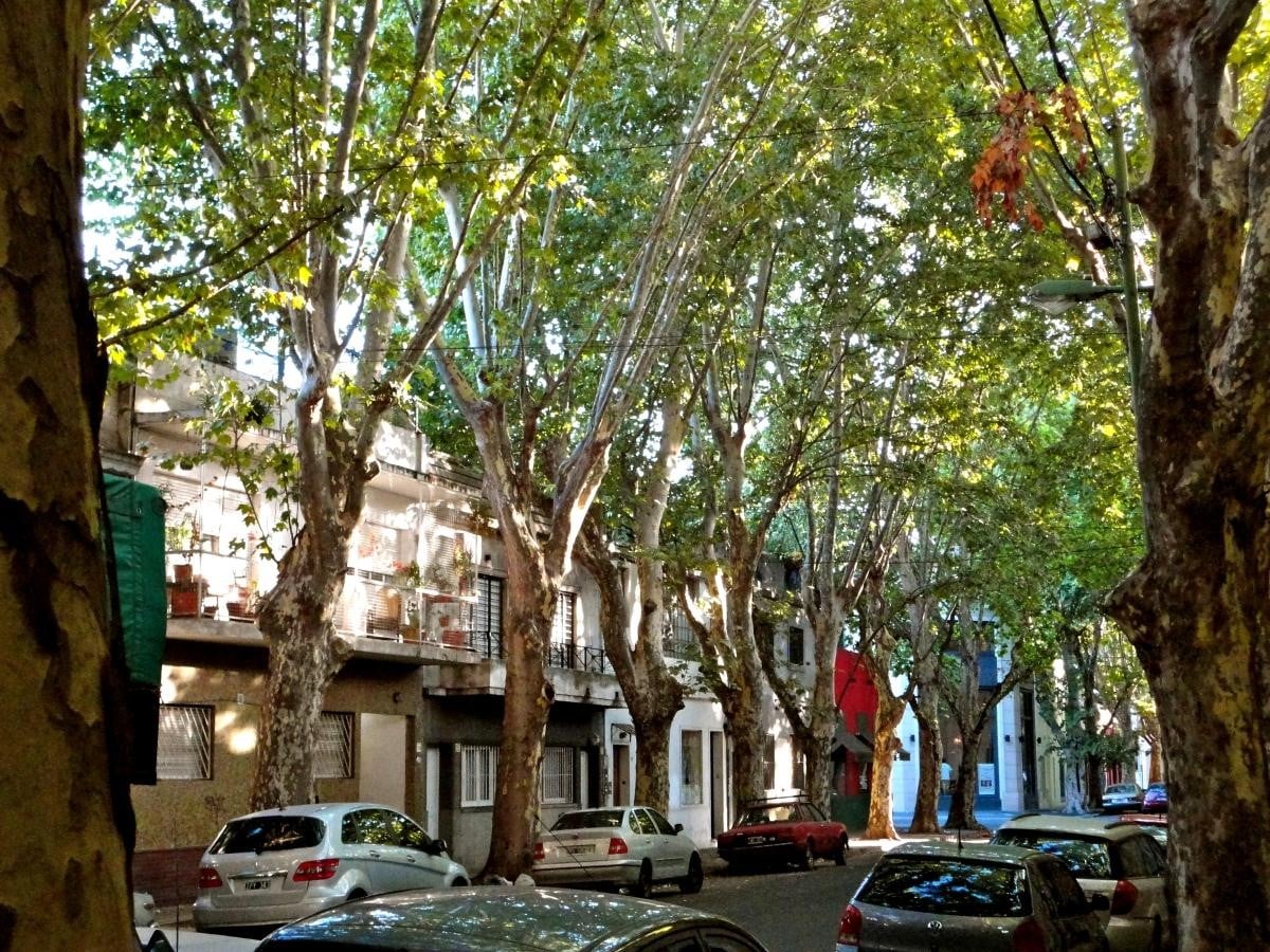 When Cities Feel Hotter Than They Should: The Role of Urban Thermal ...