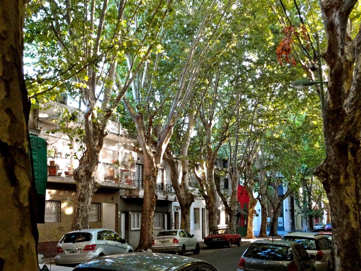 When Cities Feel Hotter Than They Should: The Role of Urban Thermal ...
