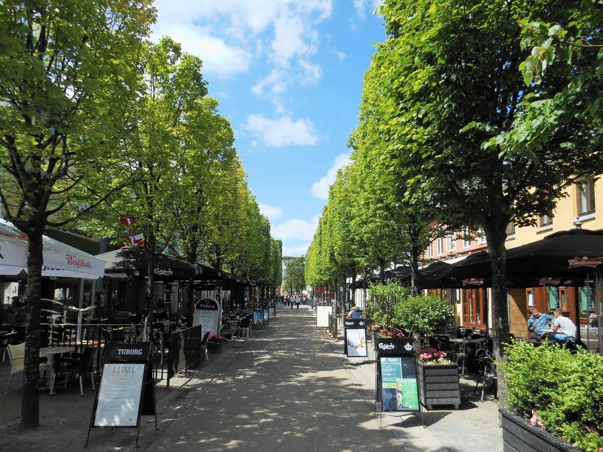 When Cities Feel Hotter Than They Should: The Role of Urban Thermal ...