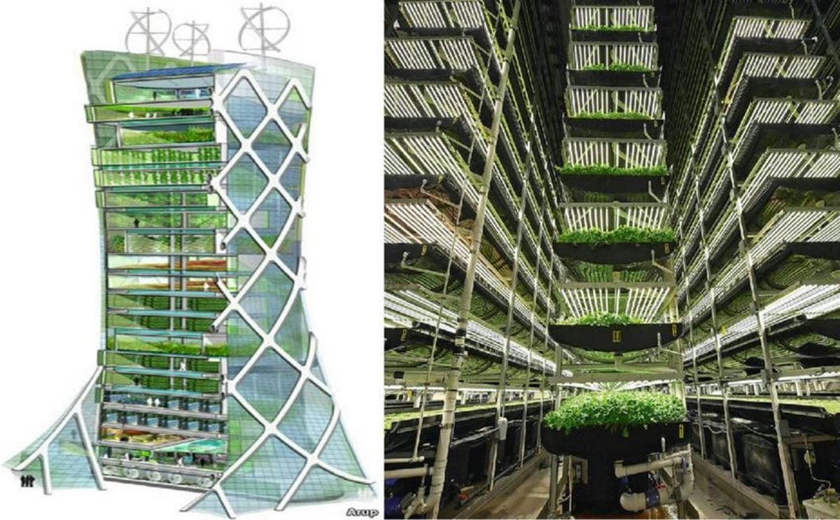 Urban farming towers integrating agriculture with high-rises in the ...