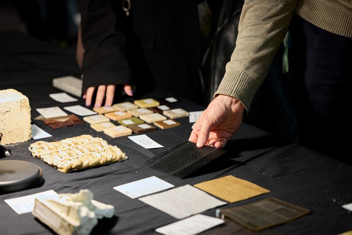Bio-Based Beauty: Mycelium, Hemp, and Timber as New Luxury Materials ...