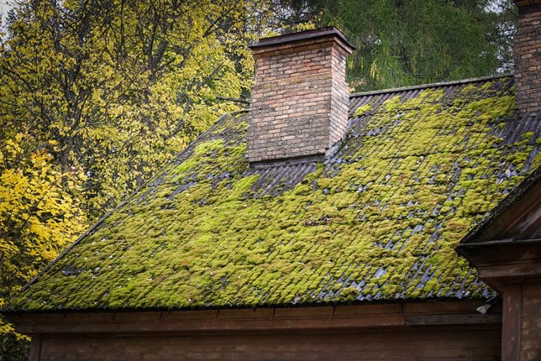 Soft Roof Cleaning: Why Choose It and How to Do It - RTF | Rethinking ...