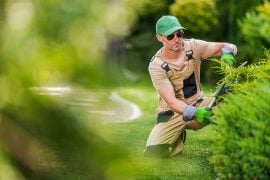 How Do Pro Landscaping Companies Maintain Lawns Tidy and Green in a ...